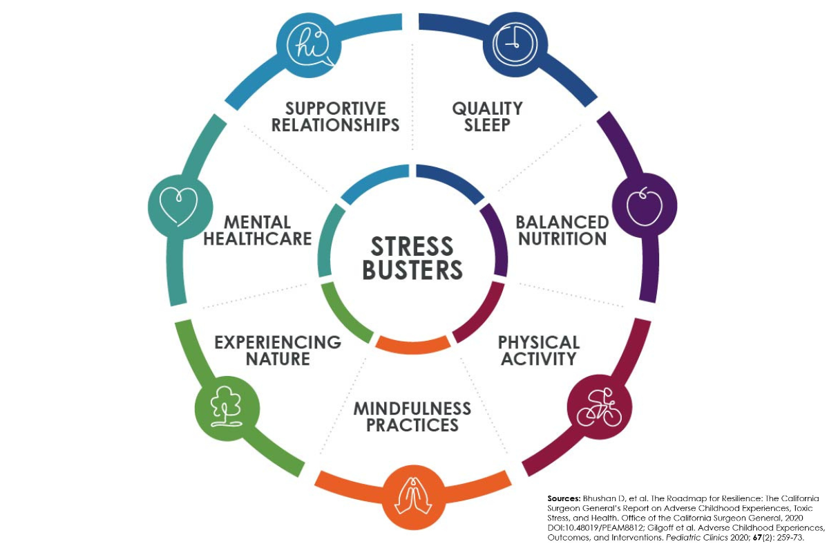 Stress Busters: Clinical Strategies for Preventing and Mitigating Toxic ...