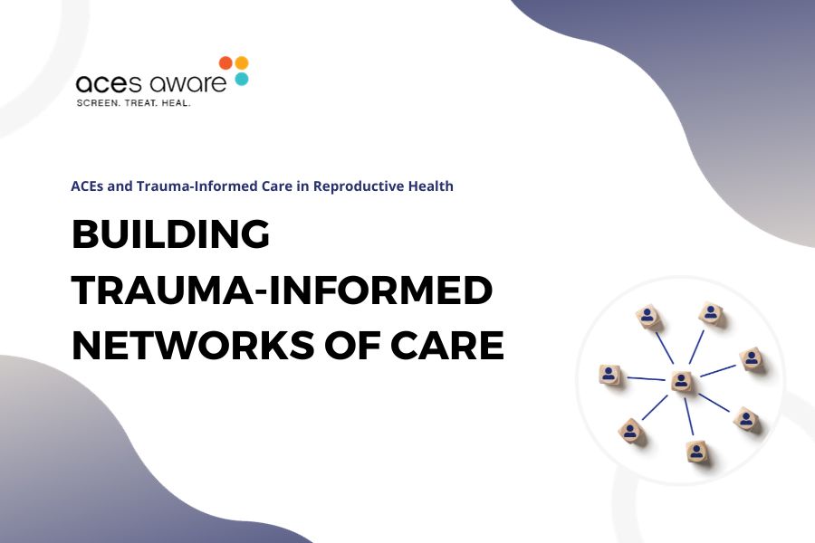 Building Trauma-Informed Networks of Care